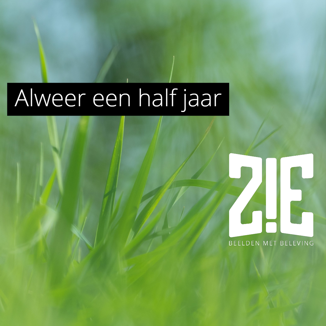 Alweer een half jaar! - Z!E Fotografie